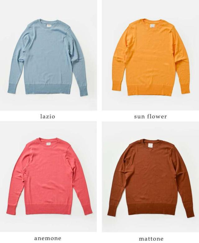 ジチピ ニット セーター GICIPI  コトーネソフト コットン クルーネック プルオーバー “FRAGORA” 2513a  クーポン対象