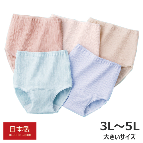 尿漏れ パンツ 軽失禁 対策 ショーツ 大きいサイズ レディース 3L 4L 5L 日本製 心地よくフィットする安心ショーツ 5色組 尿漏れ対策ショーツ 婦人服 ミセス シニア 介護用品 下着 肌着 ピンク ブルー ベージュ パープル 60代 70代 80代 介護 入院　fri　p17800　p26414