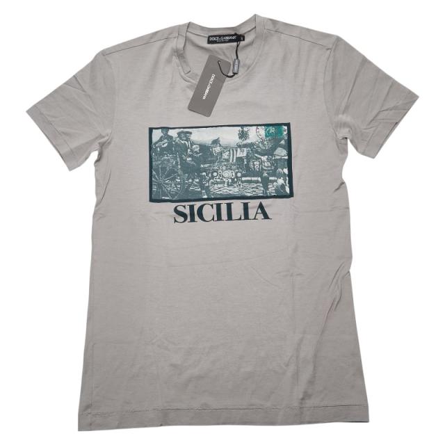 ドルチェアンドガッバーナ SICILIA Tシャツ サイズ：46 グレー マルチカラー コットン メンズ DOLCE&GABBANA 【中古】