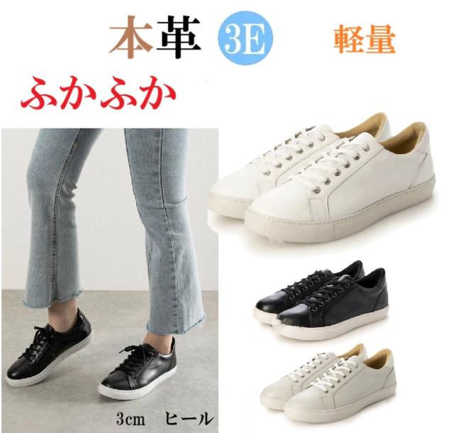 本革　牛革　ソフトレザー　コンフォートスニーカー　ローカット　幅広　3e  外反母趾　ふかふか　シンプル　軽量　軽い　疲れにくい　履きやすい　歩きやすい　カジュアル　おしゃれ　通勤　旅行　シューレース　レデイーズシューズ　靴