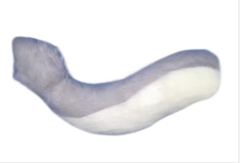 ファースーツ アクセサリー 尻尾 ライトグレー Dタイプ 飾りもの ケモノ しっぽ fursuit ぬいぐるみ コスプレ コスチューム