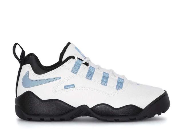 Supreme × Nike SB Darwin Low White シュプリーム × ナイキ SB ダーウィン ロー ホワイト