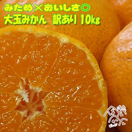 大玉みかん 訳あり10kg 2L〜3L 愛媛県産 みため×おいしさ 宮川早生 南柑20号 温州みかん お買得セール 産地直送【送料無料※北海道・沖縄は除く】清家ばんかんビレッジの通販はau ...