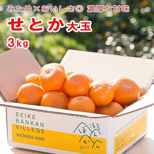 濃厚な甘味でとろける果肉☆せとか 訳あり3kg 大玉 L-4L みため×おいしさ お買得品 セール の通販はau PAY マーケット - 清家ばんかんビレッジ | au PAY マーケット－通販サイト