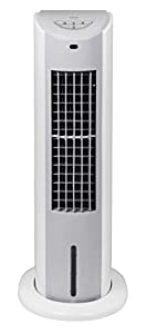 [山善] 冷風扇 扇風機 押しボタンスイッチ 風量3段階調節 水タンク着脱式 キャスター付 ホワイトグレー FCT-G402(WH)(中古品)