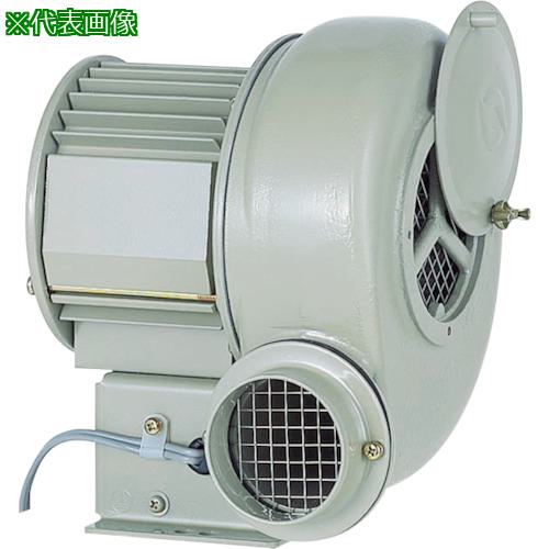 ■昭和 電動送風機 汎用シリーズ(0.25kW)〔品番:SB75〕【1384201:0】[店頭受取不可]