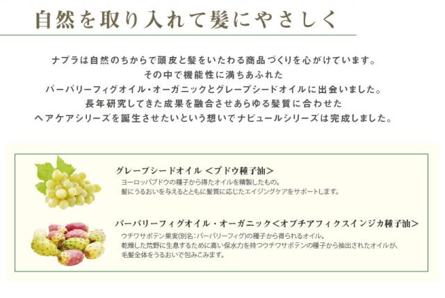 □在庫限り□ (詰大) ナプラ ナピュール スキャルプトリートメント