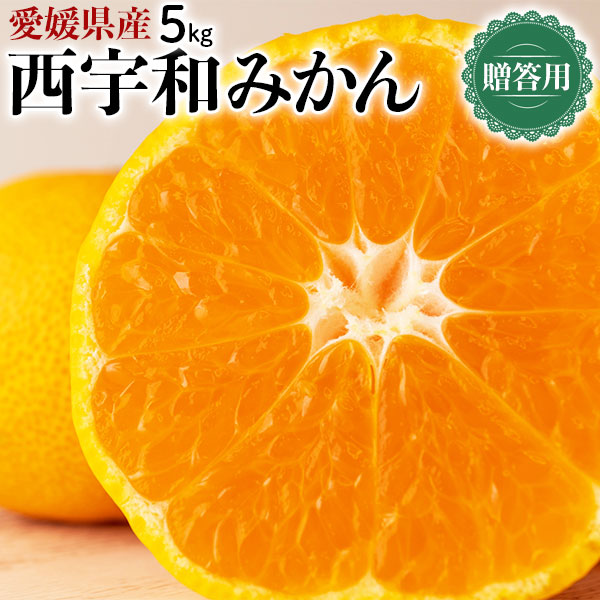 【西宇和産 限定】愛媛 西宇和みかん 贈答用 5kg S〜Lサイズ混合【出荷日お任せ・指定日不可】…の通販はau PAY マーケット - kamittellギフト広場 au PAY マーケット ...