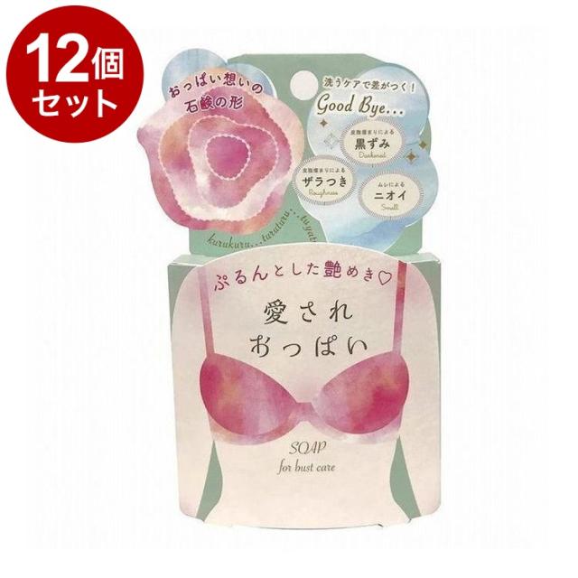 【単品12個セット】 愛されおっぱい 70g ボディケア スキンケア 角質ケア【送料無料】