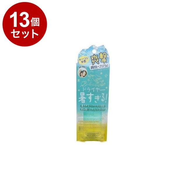 【単品13セット】 Coolist クーリスト スカルプクーラー シトラスミントの香り お風呂上り ドライヤー【送料無料】