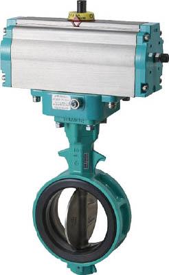 巴 700Z-1J JIS10K ADC12/SCS14/EPDM 100A 700Z1J100SE(4954432)