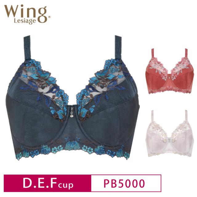 20%OFF Wacoal ワコール Wing ウイング Lesiage レシアージュ 5000シリーズ ChouChou de Lesi フルカップ ブラジャー (D・E・Fカップ ) の ...