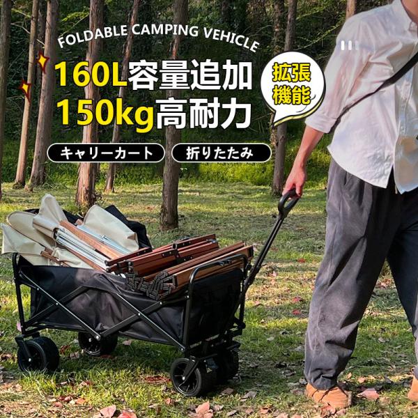 ライシン アウトドアワゴン 大容量160L 拡張機能 キャリーワゴン キャリーカート 大容量 折りたたみ 部活動 スポーツ 用具 運搬 ピクニック