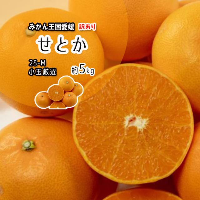 せとか 箱買い 訳あり 愛媛県産 柑橘の大トロ 2S〜M 約5kg 食べきりサイズ 送料無料の通販はau PAY マーケット - みかん横丁 au PAY マーケット店 | au PAY ...