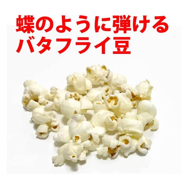 ポップコーン豆 バタフライ 22.68kg PLATINUMアメリカ産 プレファード　業務用