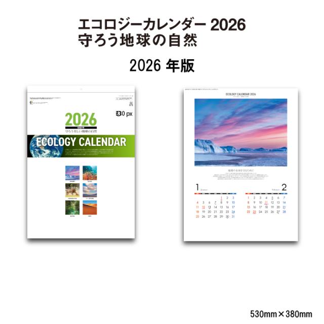 カレンダー 2026年 壁掛け エコロジーカレンダー NK58 2026年版 カレンダー 壁掛け 46/4切 エコ 環境 地球 自然 写真 景色 風景 きれい インテリア 世界 空 海 動物 ...