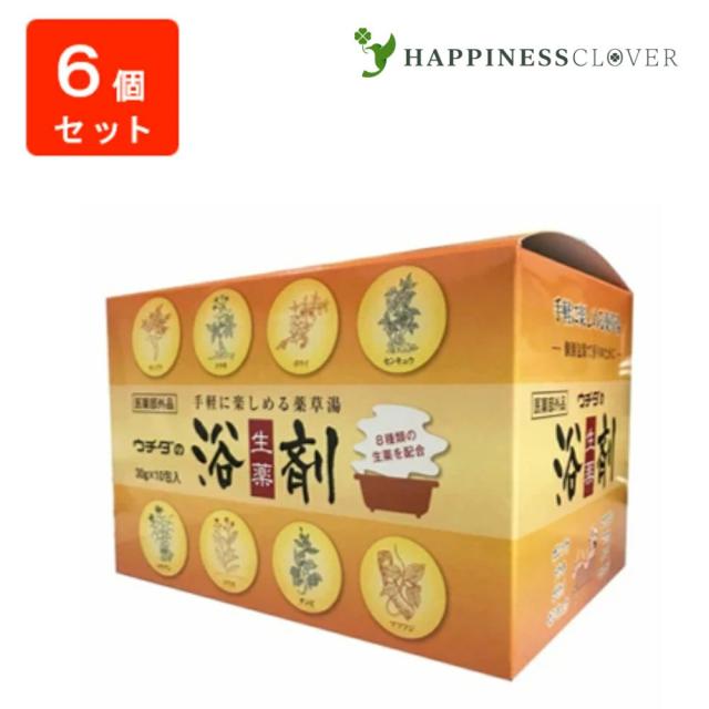 【6個セット】ウチダの浴剤 30g ×10包 医薬部外品 入浴剤 ウチダ和漢薬 リウマチに効く
