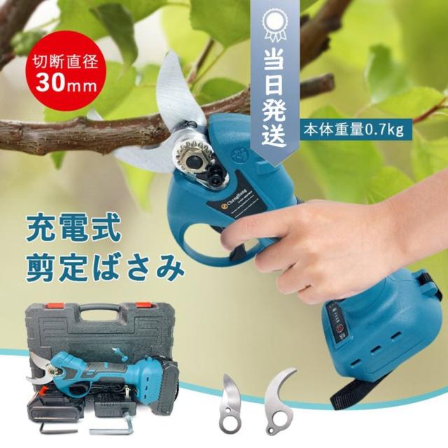 充電式 電動ハサミ 枝切り 充電式剪定ばさみ 替え刃セット コードレス 庭木 果樹用 剪定鋏 園芸用剪定用具 バッテリー2個 収納ケース付き