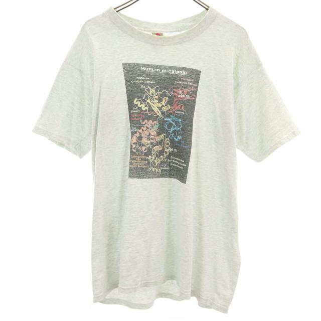 FRUIT OF THE LOOM フルーツオブザルーム オールド ヒトｍ-カルパイン 半袖 Tシャツ L グレー メンズ