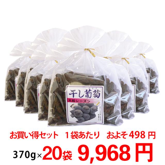 干し葡萄 大粒 レーズン 370g 20袋セット チリ産 ジャンボレーズン ドライフルーツ 大容量 お徳用 業務用 干しぶどう 乾燥果実 おやつ おつまみ デザート パン スイーツ 料理 トッピング アクセント