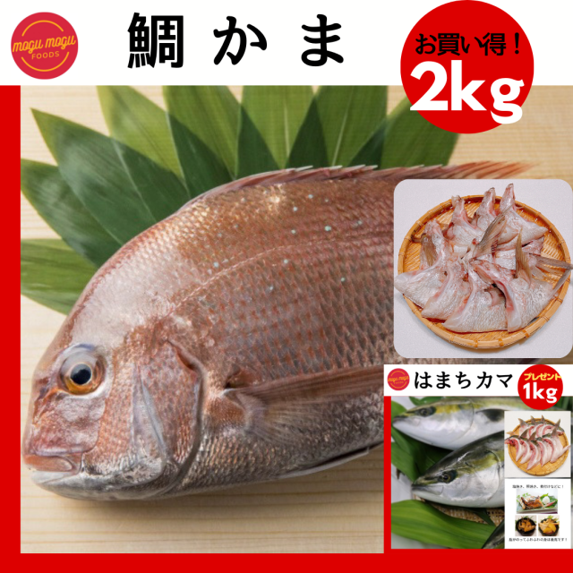 鯛カマ 養殖冷凍2kg（1kg×2袋）業務用にも！はまちカマ1kgプレゼント付きの通販はau PAY マーケット - MOGU MOGU FOODs | au PAY マーケット－通販サイト