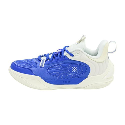 リーニン LI-NING WADE ICE 2 V2 バスケットボールシューズ バッシュ ABPV001-5C
