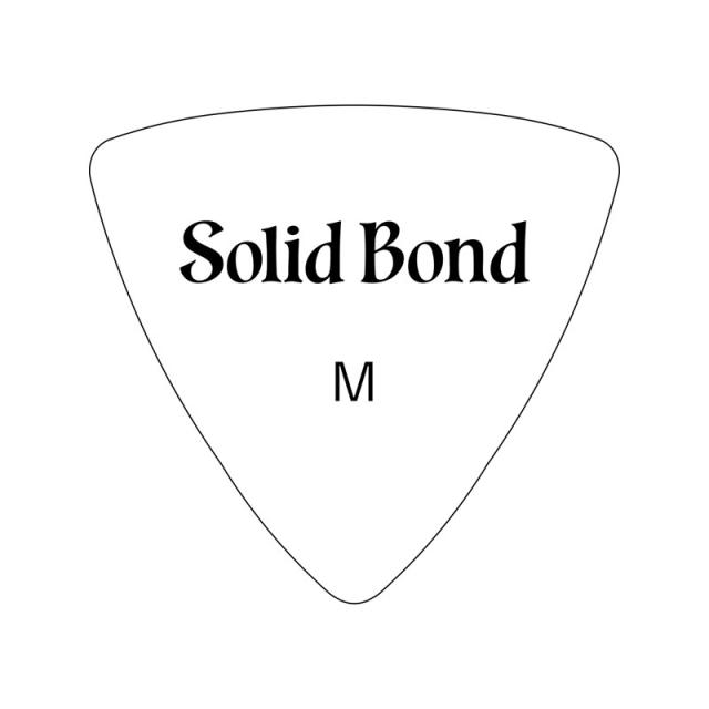 Solid Bond Triangle Pick [PR1-WHM]の通販はau PAY マーケット - イケベ楽器店 au PAY マーケット店 | au PAY マーケット－通販サイト