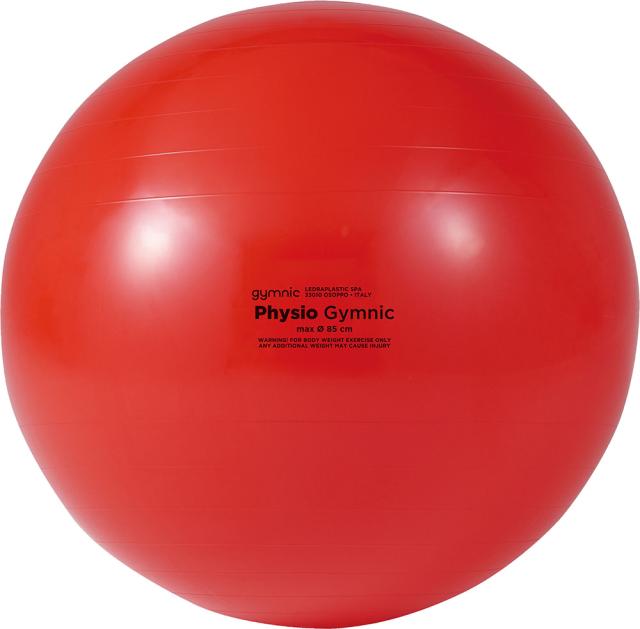 ダンノ DANNO ギムニクカラーボール85 赤 レッド ギムニク ギムニクボール バランスボール ながら運動 バランストレーニング 体幹トレーニング 体幹 筋トレ  D5434