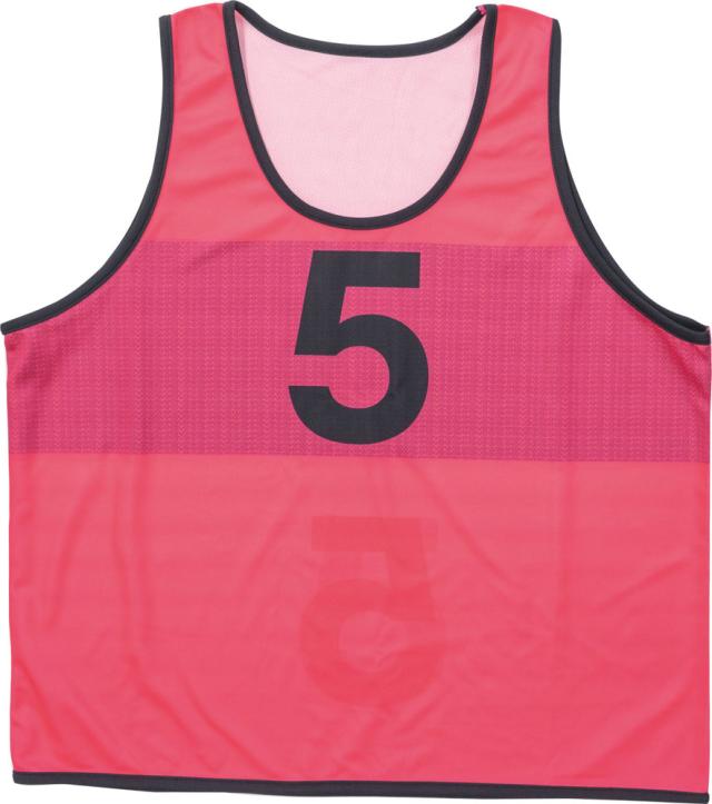 エバニュー Evernew リバーシブルビブスセット 体育 授業 体育授業 体つくり 部活 運動 ビブスセット EKB310 120