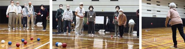 サンラッキー Sunlucky ボッチャゲーム用ボールセット  SRP540