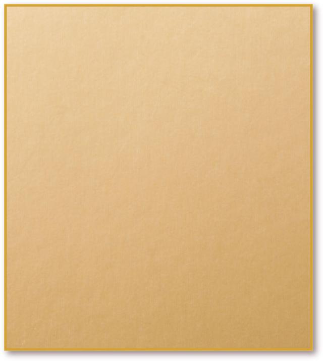 ユニックス UNIX 贈答 記念品 ゴールデン=私記志= 30枚セット 色紙 卒業記念 引退記念 卒団 部活 メッセージ 寄せ書き 耐久性 プレゼント 小学校 中学校 高校 少年野球  FD1429