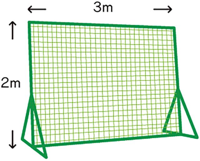 ゼットガッコウタイイク ゼット学校体育 防球フェンス取替用ネット 2 m× 3 m  ZN2000N