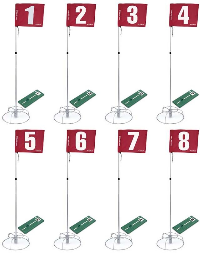 ハタチ HATACHI グラウンド・ゴルフ 8 ホールセット ブルー  2 本継ポール   BH1506