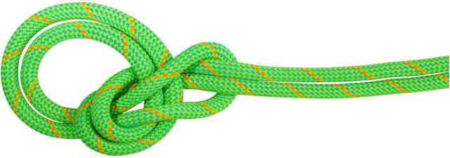 マムート MAMMUT アウトドア 9.5 CRAG ECO DRY ROPE 60M 201006100