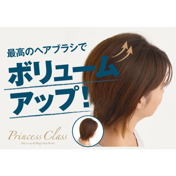 ヘアブラシ ボリュームアップ プレゼントに 高級 プリンセスクラス Princess Class Volume up & Bright Hair Brush
