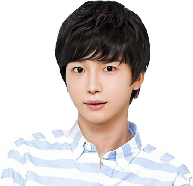 ブラック#801-つむじシルク手植え P＆Z ウィッグ 人毛 男性 かつら フルウィッグ カジュアル メンズ 通気 ルーム 新つむじ手植え 新パーマ 通気 ビジネス ルーム 自然 減齢 優しい男 wig ブラック