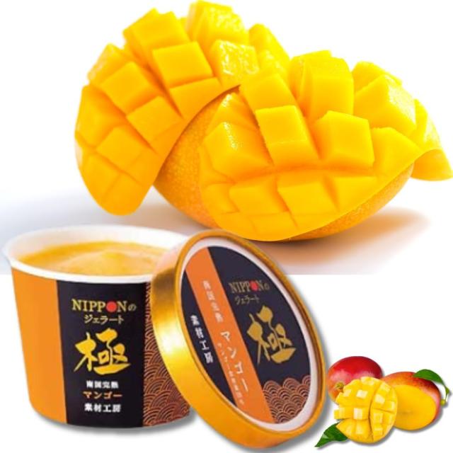 NIPPONのジェラート極 マンゴー 16個入 アイス ジェラート スイーツ ギフト お返し 詰め合わせ セット 人気 冬ギフト お歳暮 ご褒美 贈り物