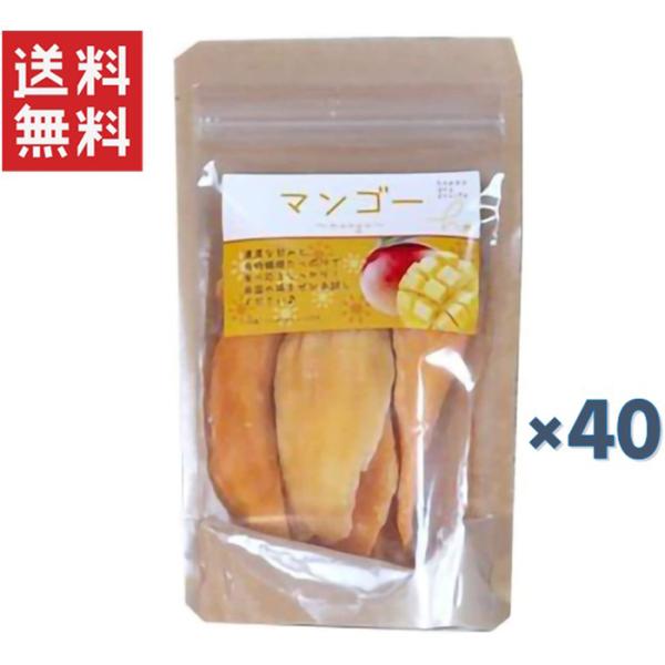 共立食品 ミックスナッツ 500g×10袋入×(2ケース)｜ 送料無料 お菓子