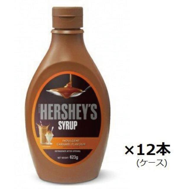HERSHEYS ハーシー キャラメルシロップ 623g×12本 ケース販売