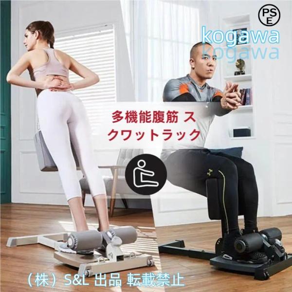 スクワットマシンシシースクワット腹筋スクワットマシンローマンチェア補助トレーニングフィットネス機器 (Color : Gray Size : 100*46*50cm)