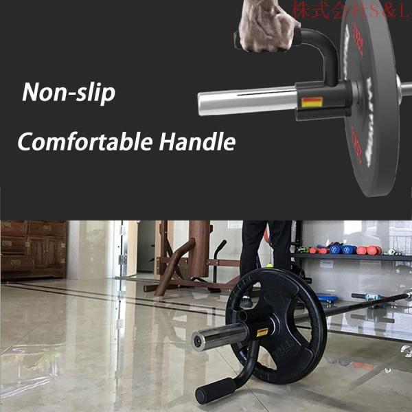 50 mmTバーロー tバーロウ T Bar プレートポストインサート ランド