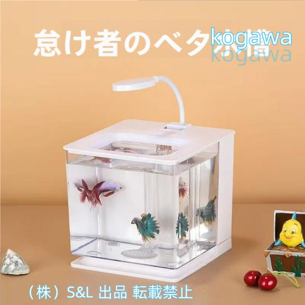 ベタ 水槽 ベタ飼育箱 熱帯魚観賞魚 水族館 ショーベタ株式会社S＆L 照らされた四角い箱 魚飼育