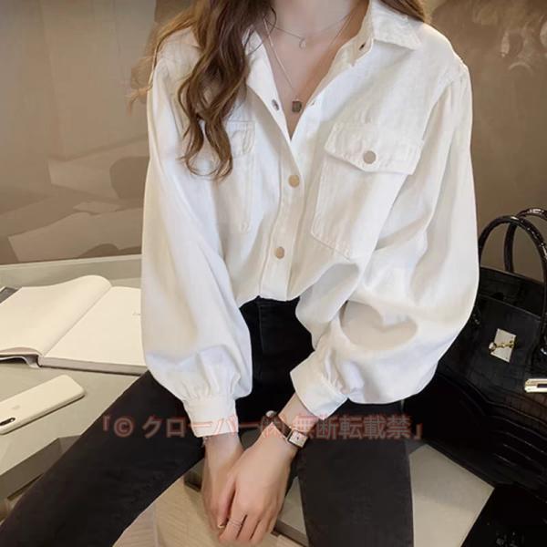 デニムシャツ ブラウス シャツ 長袖 t シャツ トップス レディース 長袖 前開き ゆったり カジュアル オフィス 大きいサイズ 着痩せ 春 夏 通勤 2way