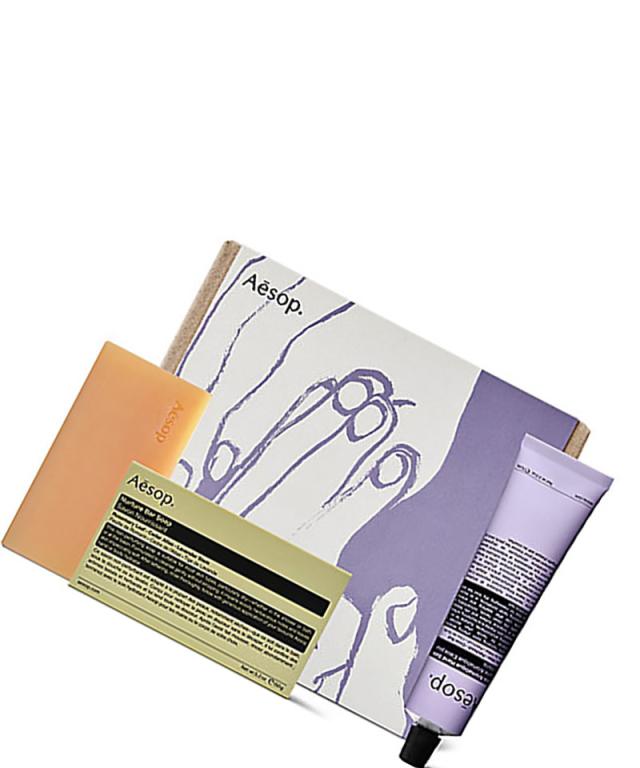 【国内正規品】 Aesop イソップ 肌をいたわるハンド　＆　ボディケア　デュオ（限定品）