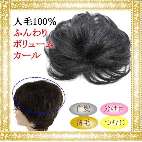 ウィッグ 人毛100％　ヘアピース　ミセス　かつら　部分ウィッグ　送料無料　ふんわりボリューム　6415hh