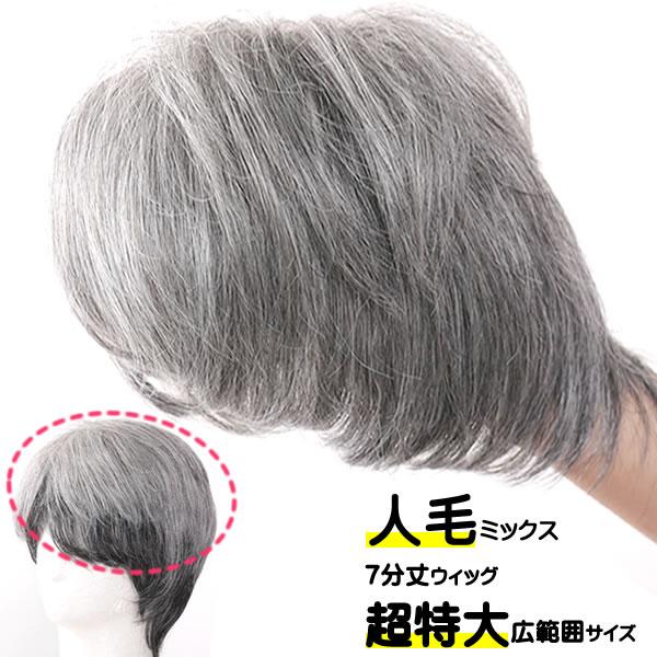 ウィッグ 白髪 薄毛隠し 女性 男性 人毛 しらが 円形脱毛症 部分ウィッグ ポイントウィッグ 増毛 人気 つむじカバー グレーヘアー七分丈ウィッグ wig-sp301