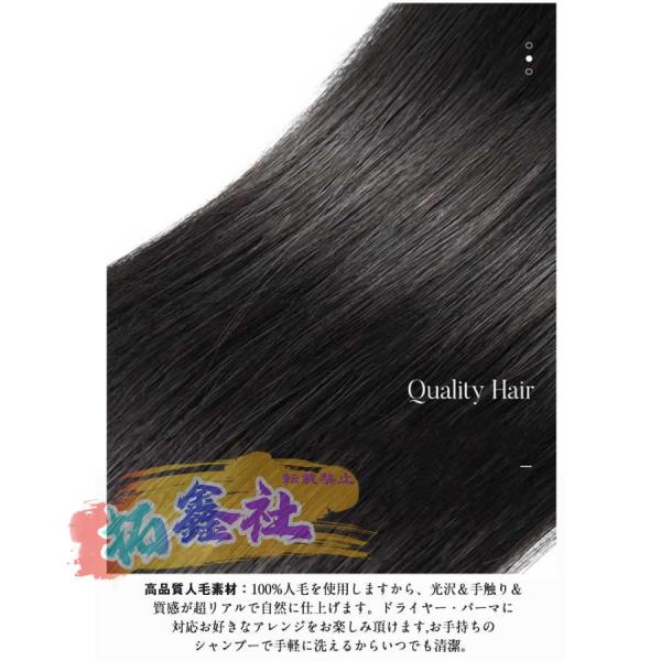 人毛 ウィッグ ロング フルウィッグ 人毛100％ 自然 47cm 自然黒 自然茶