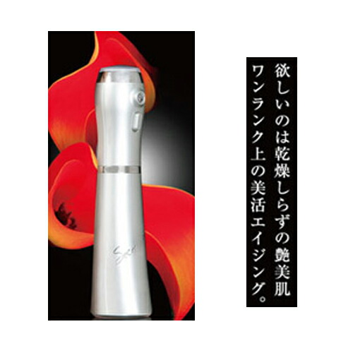 送料無料 炭酸ミスト シークレットラバー secret lover 炭酸ミストケア 炭酸ミストハンディセット 炭酸ミストフェイスセット 炭酸アクアミスト ＷＴ-0301