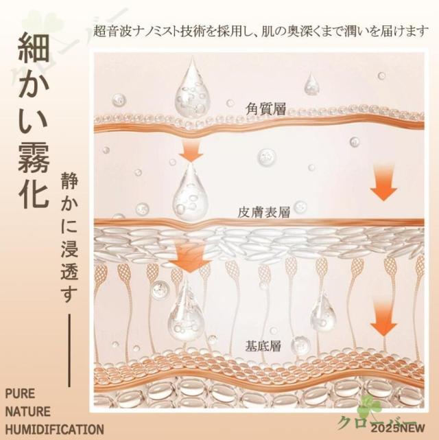 加湿器  大容量 2.5L 超音波式 加熱式 加湿器 おしゃれ 除菌 調節 卓上加湿器 上部給水 湿度設定 空焚き防止 静音 節電 省エネ エコ 軽量 超音波式