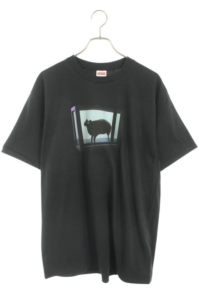 シュプリーム サイズ:L  25SS  Damien Hirst Tee ダミアン・ハーストTシャツ 中古 SB01